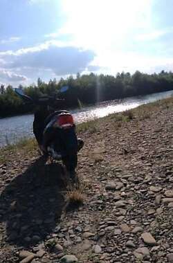 AUTO.RIA – Продам Вайпер 75